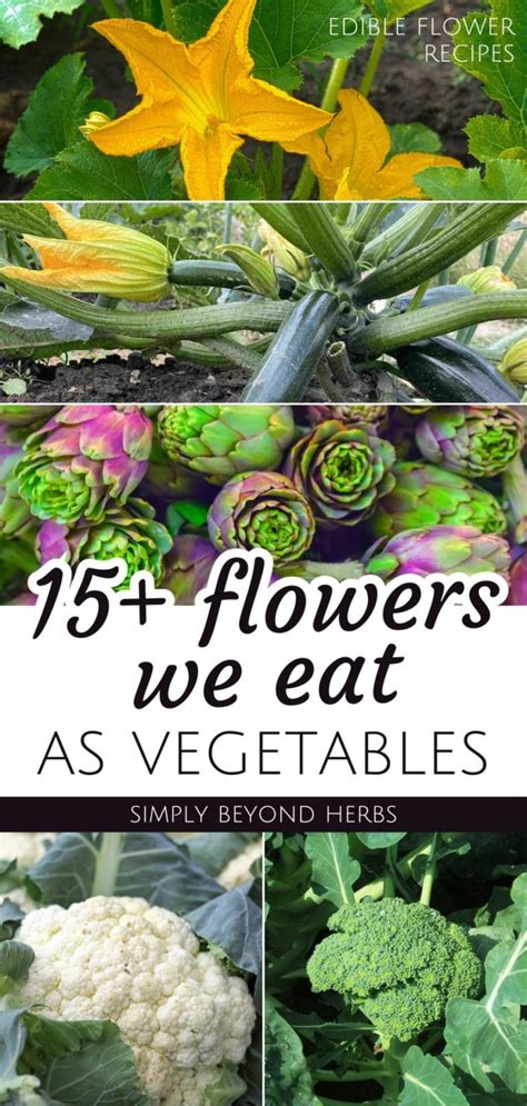15 Flowers We Eat As Vegetables With Recipes Simplybeyondherbs
