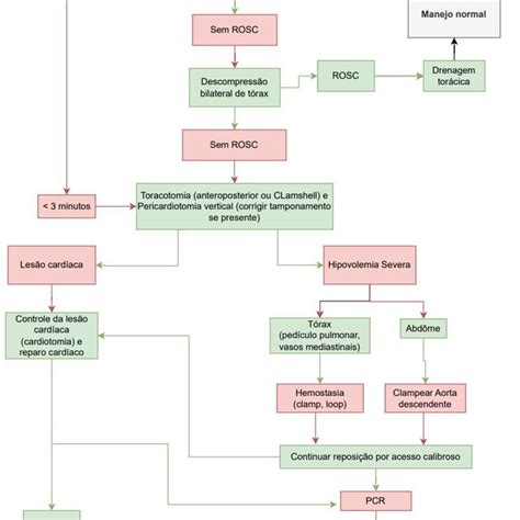 Algoritmo De Pcr Traumática Download Scientific Diagram
