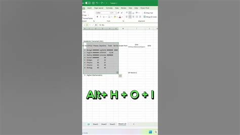 Excel Colum Adjustment Tricks Excel Exceltricks Youtube