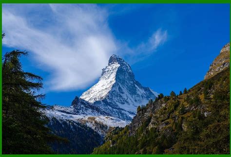 Code 39 Barcode Advantages And Disadvantages