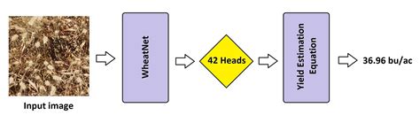 Wheatnet A Lightweight Convolutional Neural Network For High Throughput Image Based Wheat Head