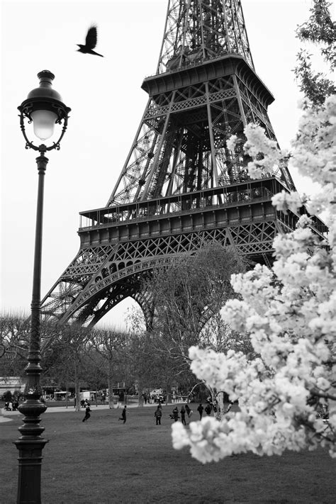 Eiffel Tower Portrait Canvas Artwork