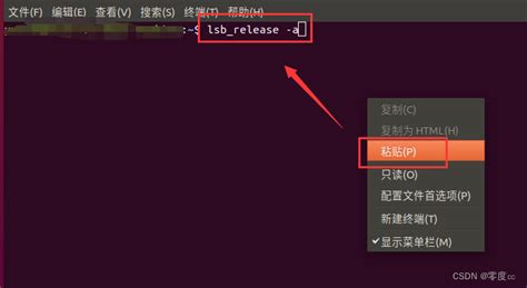 ubuntu与windows之间的复制粘贴和文件拖拽 ubantu复制粘贴windows下的 csdn博客