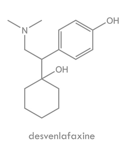 6 Desvenlafaxine Stock Vectors And Vector Art Shutterstock