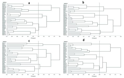 Dendrogram Of 30 Tropical Maize Inbred Lines Generated From Euclidean