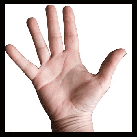 Hand Hand Hand  Conseguir O Melhor  Em Er