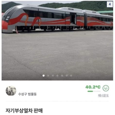 “자기부상열차 1 5억에 팝니다” 당근 이미지 이투데이