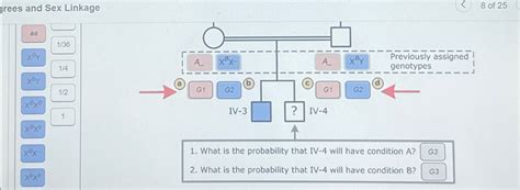Solved Grees And Sex Linkage8 ﻿of 25