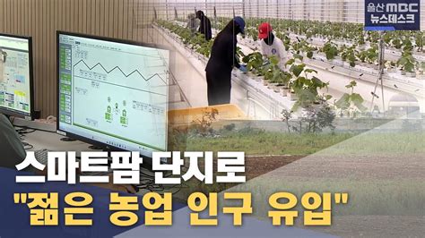 스마트팜 단지 재도전 젊은 농업 인구 유입 20240715뉴스데스크울산mbc Youtube
