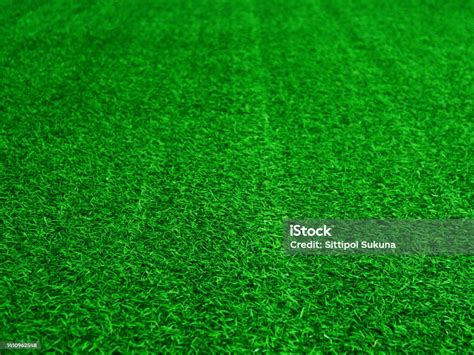 녹색 잔디 텍스처 배경 잔디 정원 개념 녹색 배경 축구 피치 잔디 골프 녹색 잔디 패턴 질감 배경을 만들기 위해 사용 가루로
