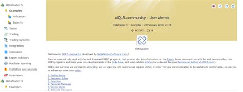 Introduction To Expert Advisor Programming Complete Guide