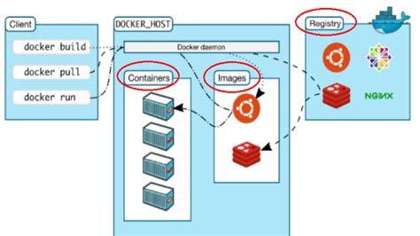 Docker 的安装 peterjxl 博客园
