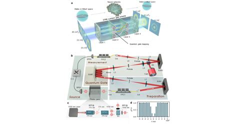 High Fidelity Spatial Mode Quantum Gates Enabled By Diffractive Neural