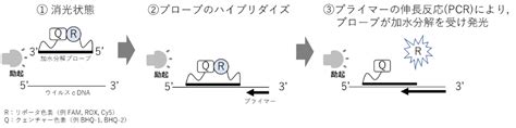 第8回jmacシンポジウム講演要旨 シンポジウムのご案内 特定非営利活動法人 バイオ計測技術コンソーシアム