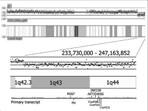 Array Based Comparative Genomic Hybridization Cgh With The Nimblegen