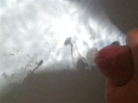 Canadian Germanic Cock 2 Porn Pictures Xxx Photos Sex Images 399829 Pictoa