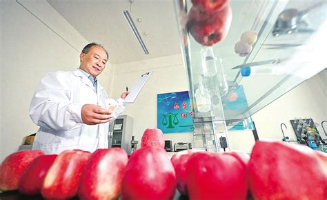 陇东报