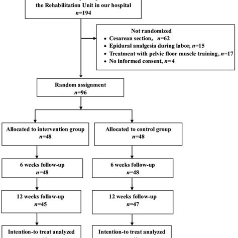 Flowchart Of Patient Randomization And Follow­up Download Scientific