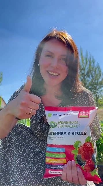 Секрет ОГРОМНОГО урожая Клубники органическоеудобрение огород удобрение клубника Youtube