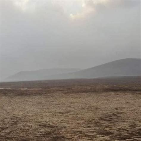 Дорнод аймагт гарсан түймрийн улмаас урьдчилсан байдлаар 8000 га хээрийн талбай өртжээ