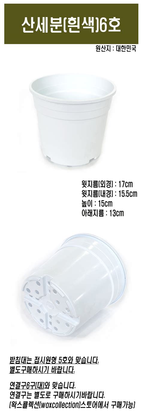 플라스틱화분 산세분흰색6호 분갈이흙 플분 모종