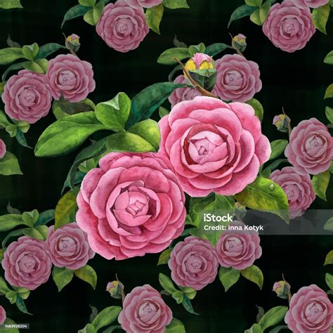 동백 꽃입니다 꽃 새싹 및 나뭇잎이있는 가지 매끄러운 배경 동양 스타일의 그림입니다 그래픽 아트 인쇄물 표지판 물건 사이트지도 포스터 엽서 포장을 사용하십시오 개념에 대한