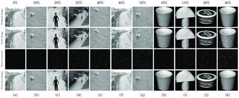 Illustrated Noise Removed Images Achieved Using Proposed Method From