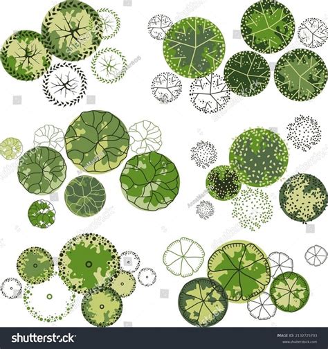 Trees For The Master Plan Tree For Architectural Floor Plans Entourage Design Various Trees