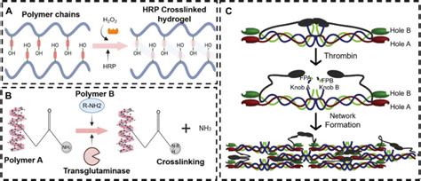 Smart Responsive In Situ Hydrogel Systems Applied In Bone Tissue