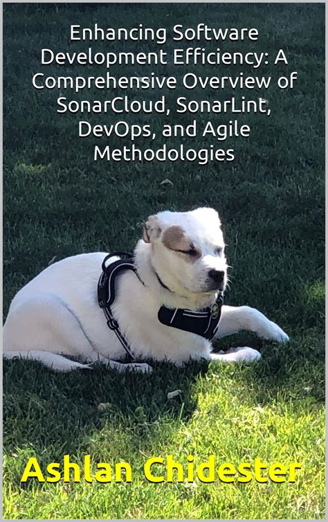 Enhancing Software Development Efficiency A Comprehensive Overview Of Sonarcloud Sonarlint