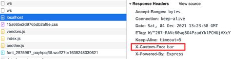 Webpack Advanced Application Devserver