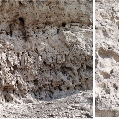 Field Photos At East Minia Governorate Show A Cavernous Cross Bedded Download Scientific