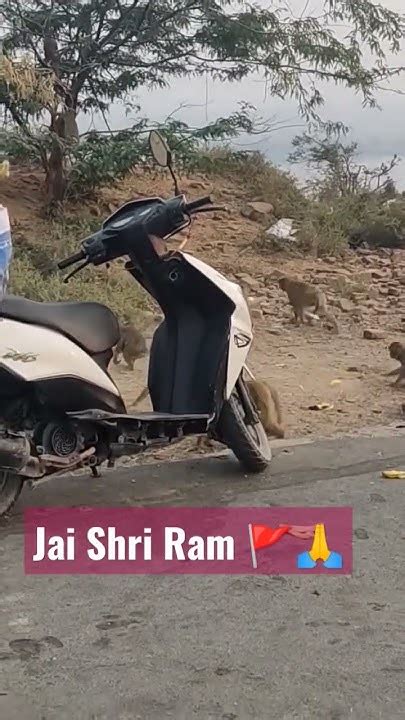 🙏 Jaishreeram Ramji Ki Kripa Apke Parivar Pr Bani Rahe Bolo Jai Shri