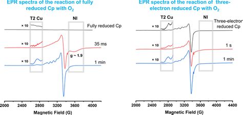 Electron Paramagnetic Resonance Epr Characterization Of The Reaction Electron Paramagnetic Resonance Epr Characterization Of The Reaction