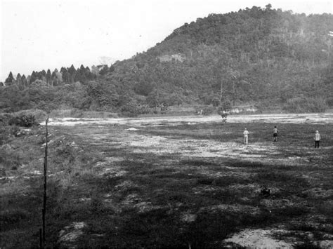 Sejarah Frim Forest Research Institute Malaysia Frim
