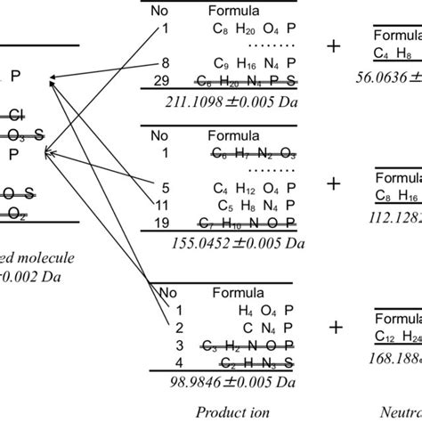 example of candidate elimination using the algorithm msmsfilter exe