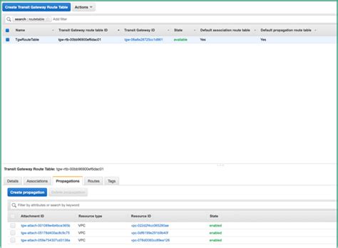 How To Implement Cato Vsocket In Aws Multiple Vpcs Environment Cato