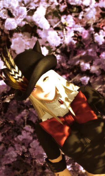 Sexy Mage Eorzea Collection