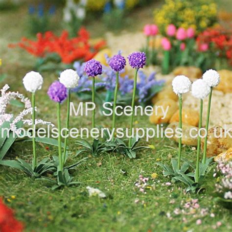 Model Flowers Alliums Oo