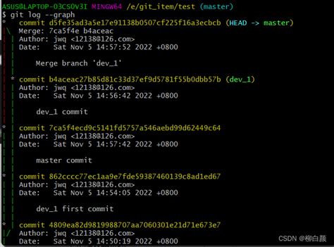 Git 的常用命令，从入门到实操如何查看git的缓存 Csdn博客