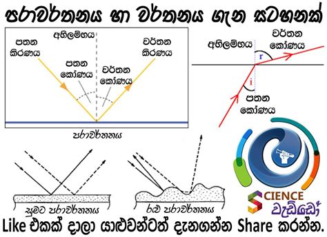 Science වැඩ්ඩෝ පරාවර්තනය පරාවර්තනය යනු ආලෝක කිරණයක්