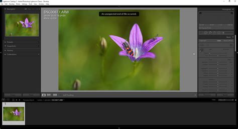 Sony ARW Files A Very Basic Question DxO PhotoLab DxO Forum