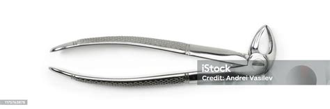 치과 의사 장비 Premolar 치과 추출 집게 실제 스테인레스 스틸 도구 흰색 배경 클로즈업에 격리 된 치과 도구 0명에 대한 스톡 사진 및 기타 이미지 Istock