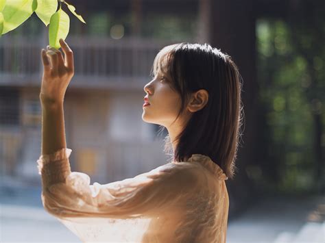 花落的声音 摄手座DA 站酷ZCOOL