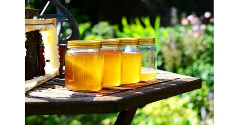 От какво зависи продуктивността на пчелите Български Фермер