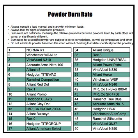 Burn Rate Template