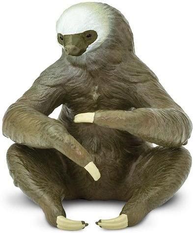 Sloth Feet