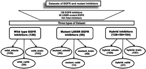 Flow Chart Showing Training And Validating Datasets Used In Developing