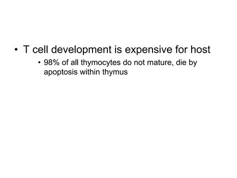 T Cell Development Maturation Activation And Differentiation Ppt