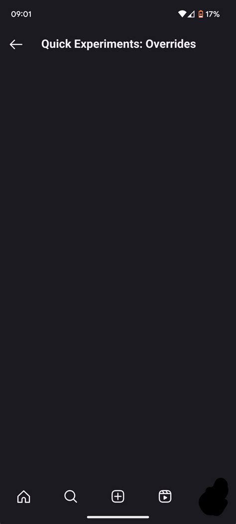 [question] Overrides Screen Is Blank R Instander